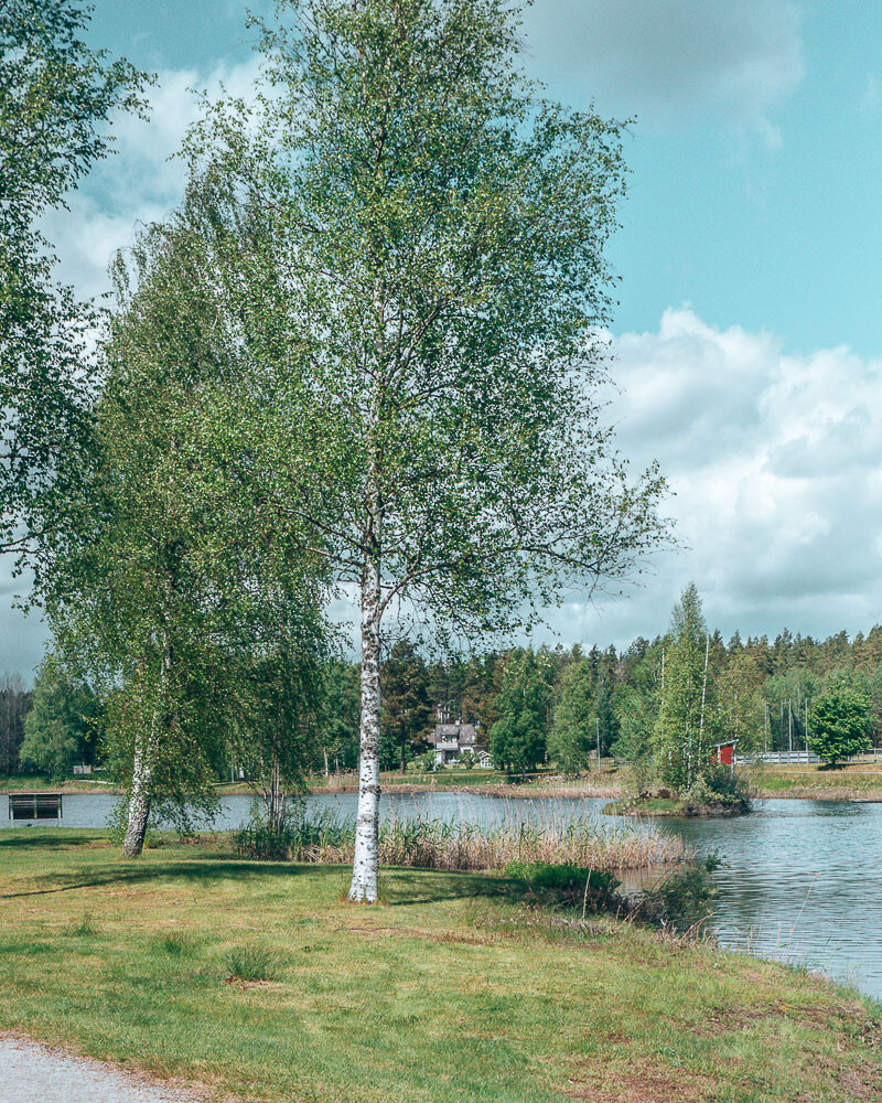 South Sweden Nature Trip, From Trelleborg To Beautiful Stockholm