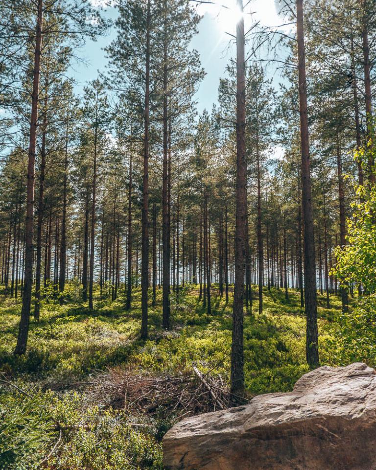 South Sweden Nature Trip, From Trelleborg To Beautiful Stockholm