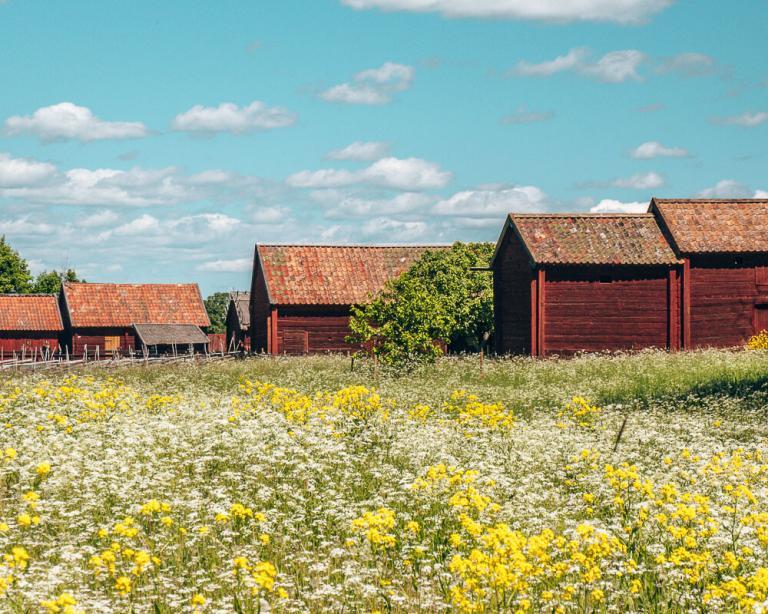 Gamla Uppsala, Historical place and a Free Open-Air Museum