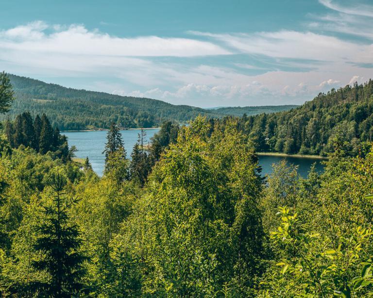 Höga Kusten, Ultimate Route to See the Highlights
