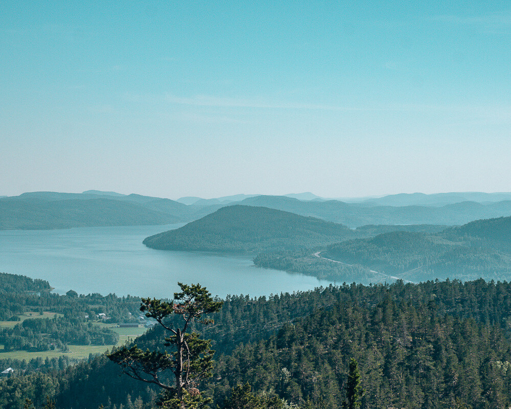 Skuleberget hike, Outstanding views of the Naturum Höga Kusten