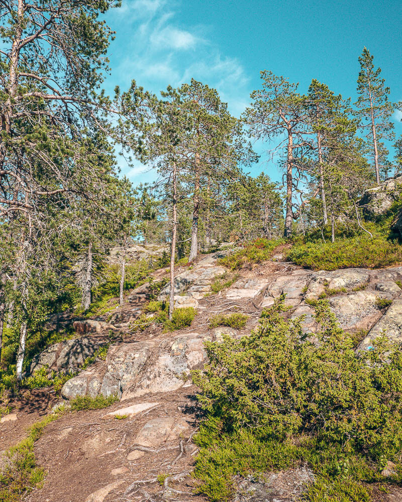 Skuleberget hike, Outstanding views of the Naturum Höga Kusten